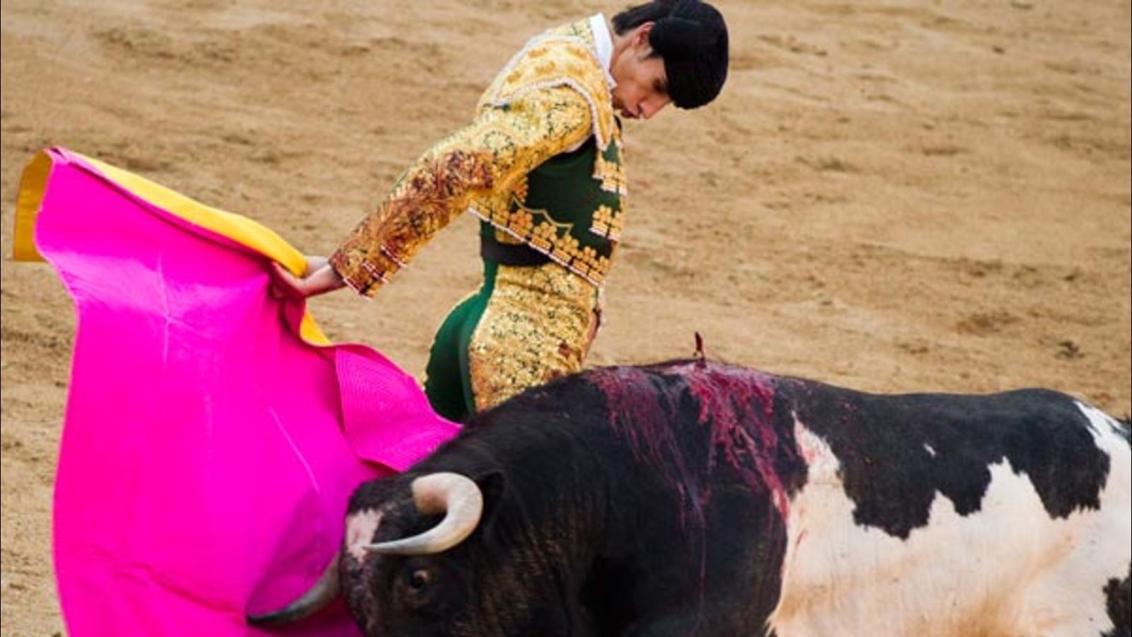 Spanish matador fatally gored, first time since 1985 - ABC13 Houston