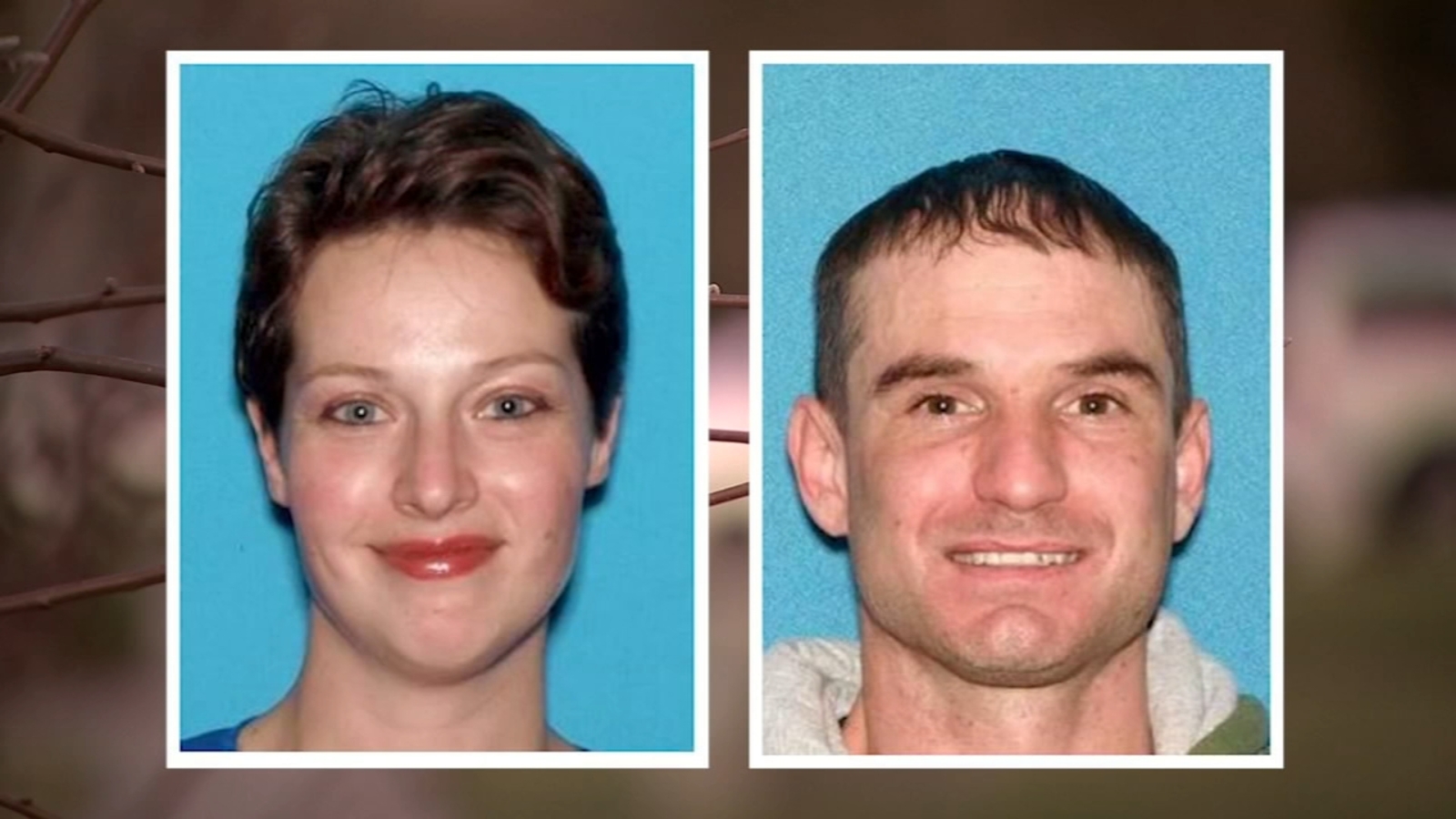 Catherine Walton arrested: Evesham Township pet sitter arrested for ...