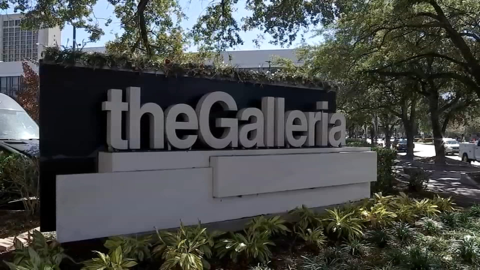 Galleria Mall kiosk employee, Arthur Fernandez, accused of sexually ...