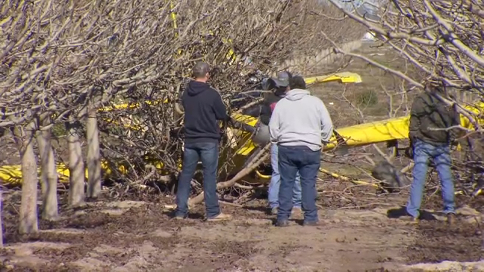 Crop duster plane crashes near Stratford, Kings County Fire Department ...