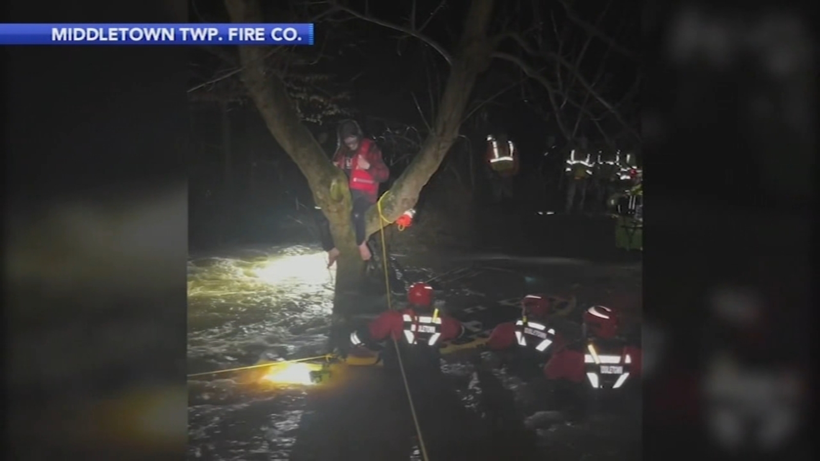 Water rescue: Man recounts being rescued from tree after trapped in ...