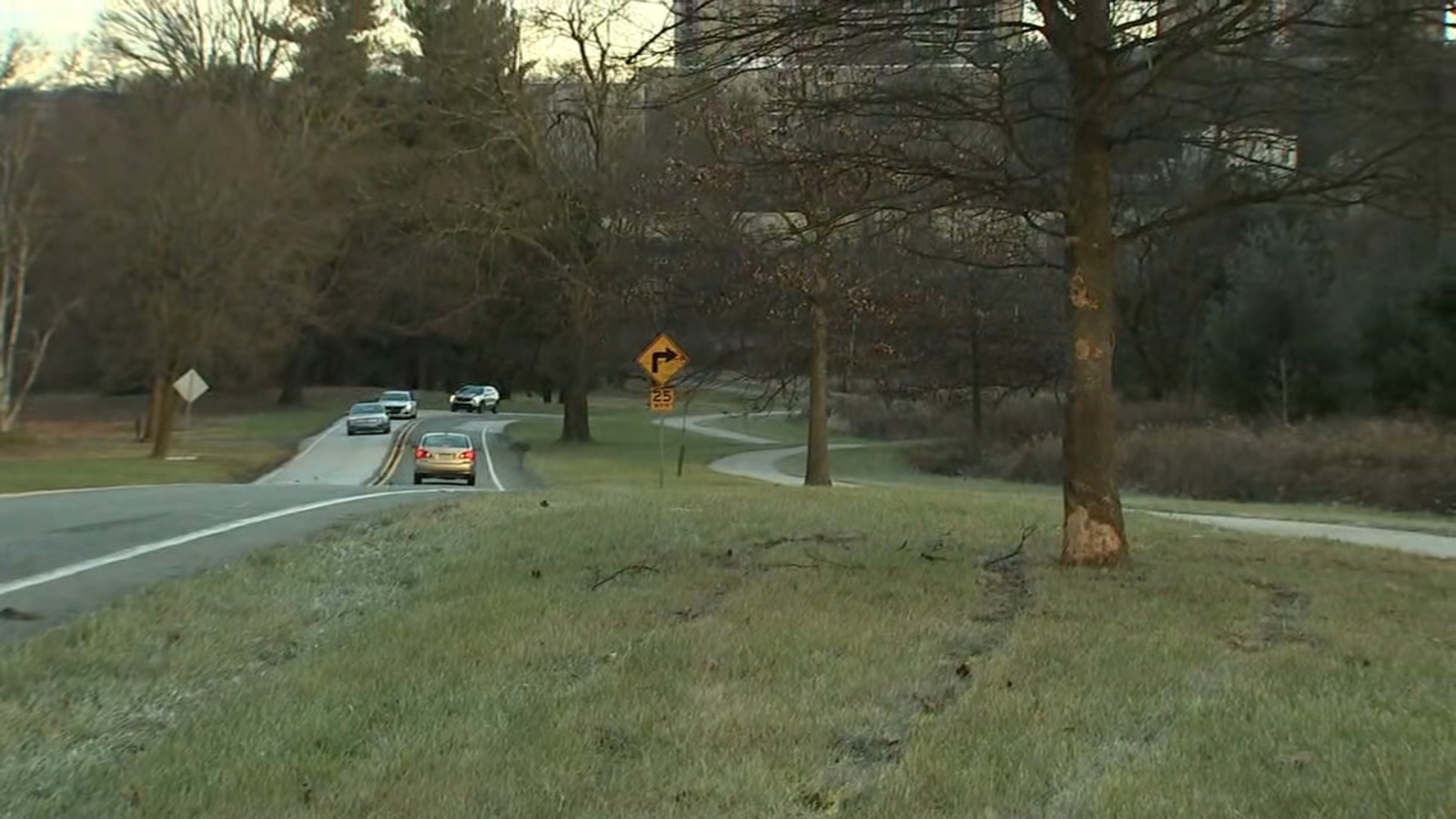 Route 23 crash: Woman, 3-year-old toddler killed after car strikes tree ...