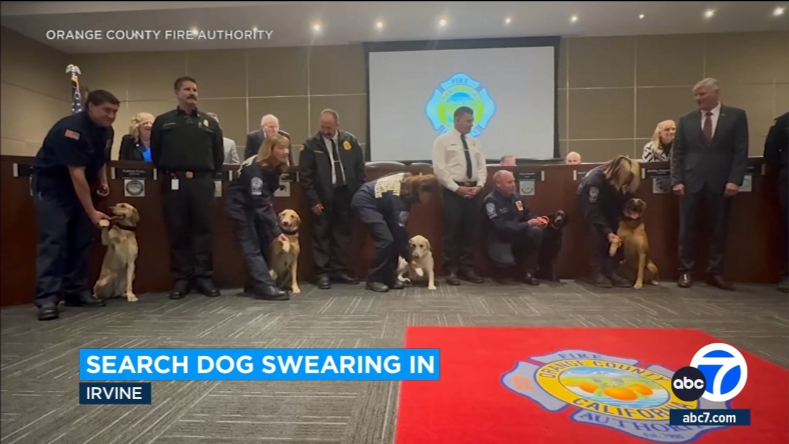 5 canines get sworn in as members of FEMA search and rescue team - ABC7 ...