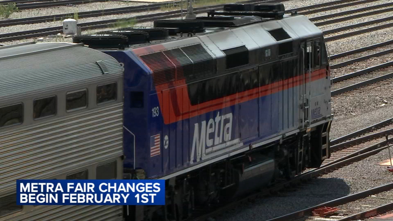 Dog falls through ice, rescued from freezing water in Ohio - ABC7 Chicago