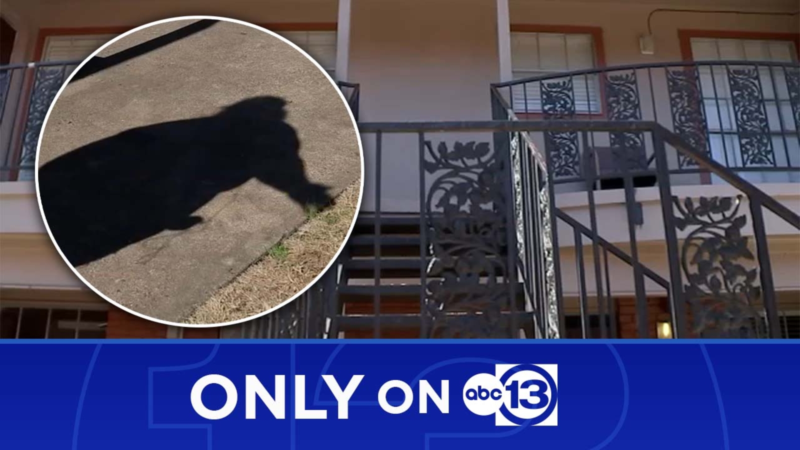 Man had seizure before he pulled gun on Houston firefighters who jumped ...