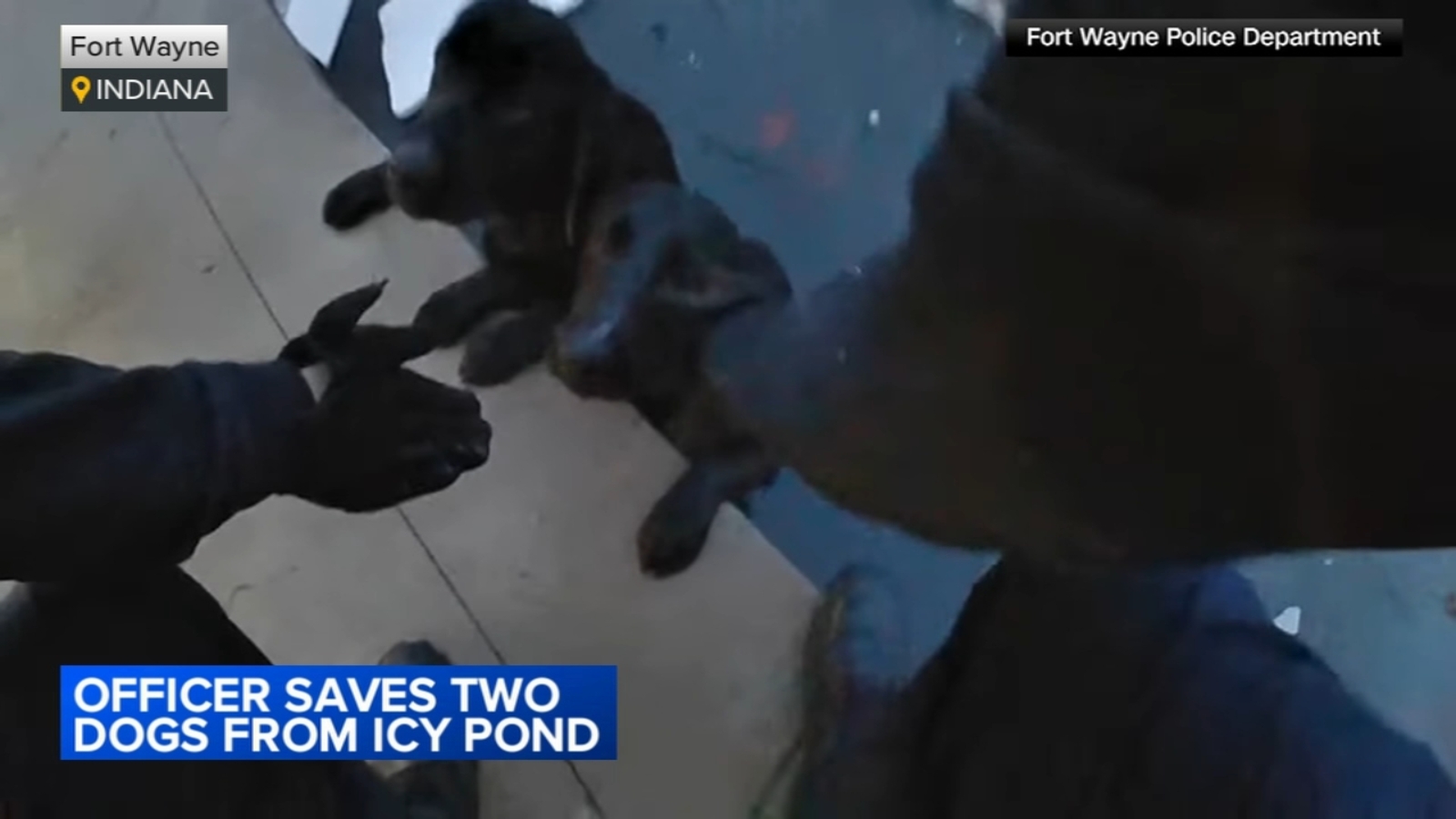Water rescue: Fort Wayne, Indiana police officer caught on camera ...