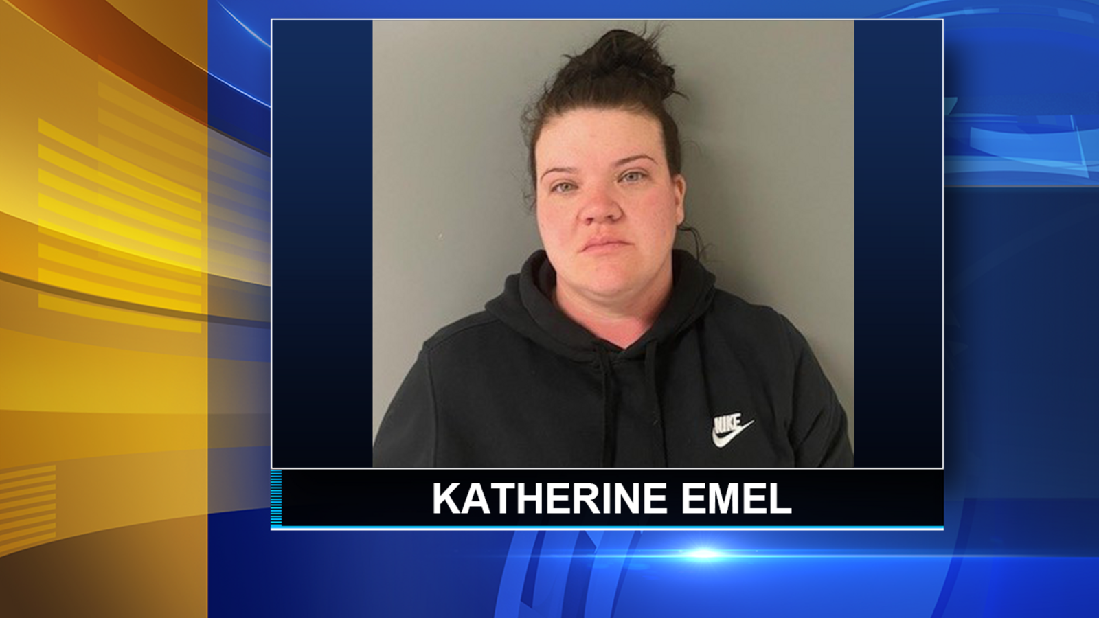 William Carter killing: Katherine Emel arrested for alleged role in ...