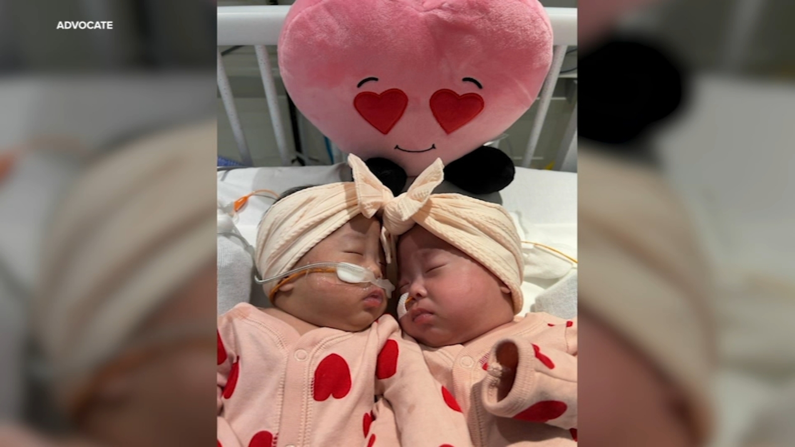NICU babies get dolled up to celebrate their first Valentine's Day at ...