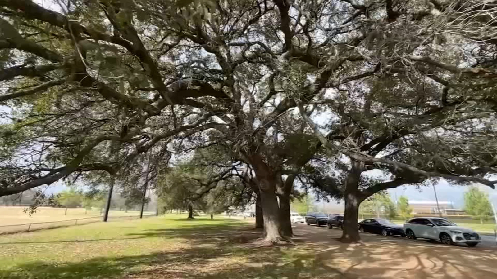 Pay to take photos at Memorial Park? Houston Mayor John Whitmire says ...