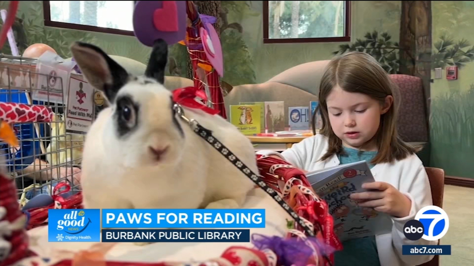 PAWS for Reading program in Burbank utilizes therapy animals to help ...