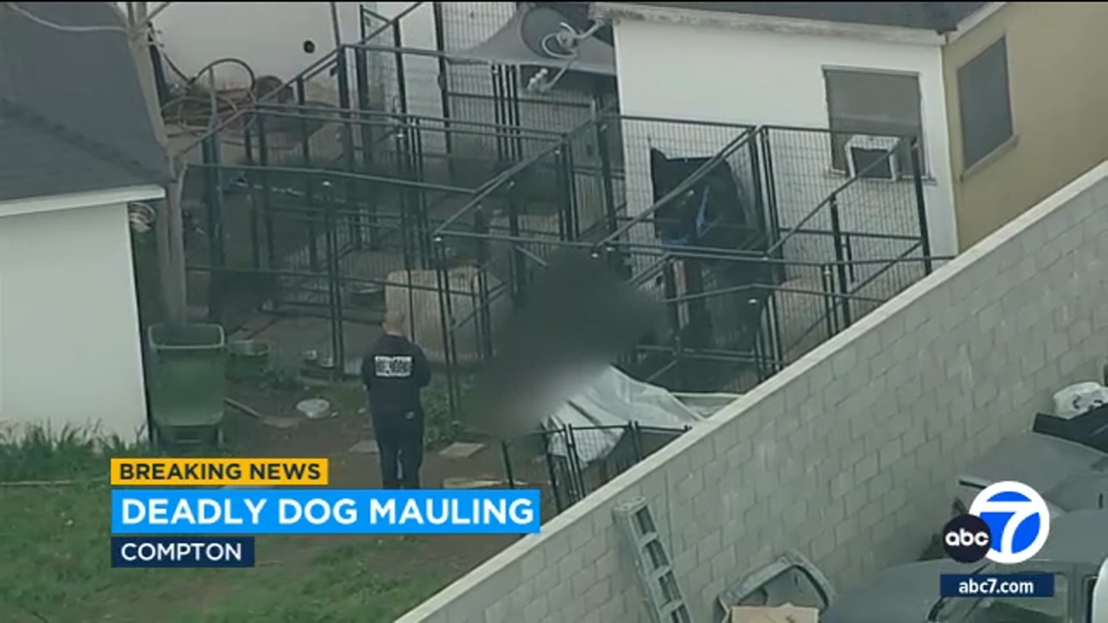 Man killed in violent dog mauling at Compton home - ABC7 Los Angeles