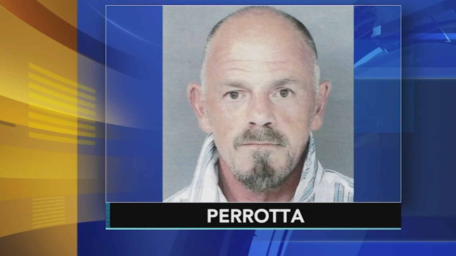 Mark Perrotta pleads guilty to 12th DUI in Delaware County; prosecutors ...