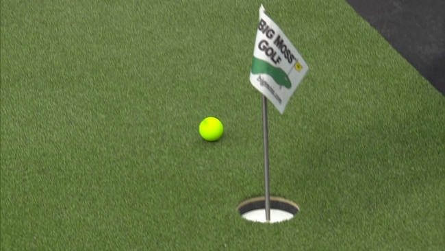 Chicago Golf Show 2024: Get free golf lessons,learn about golf trips at ...