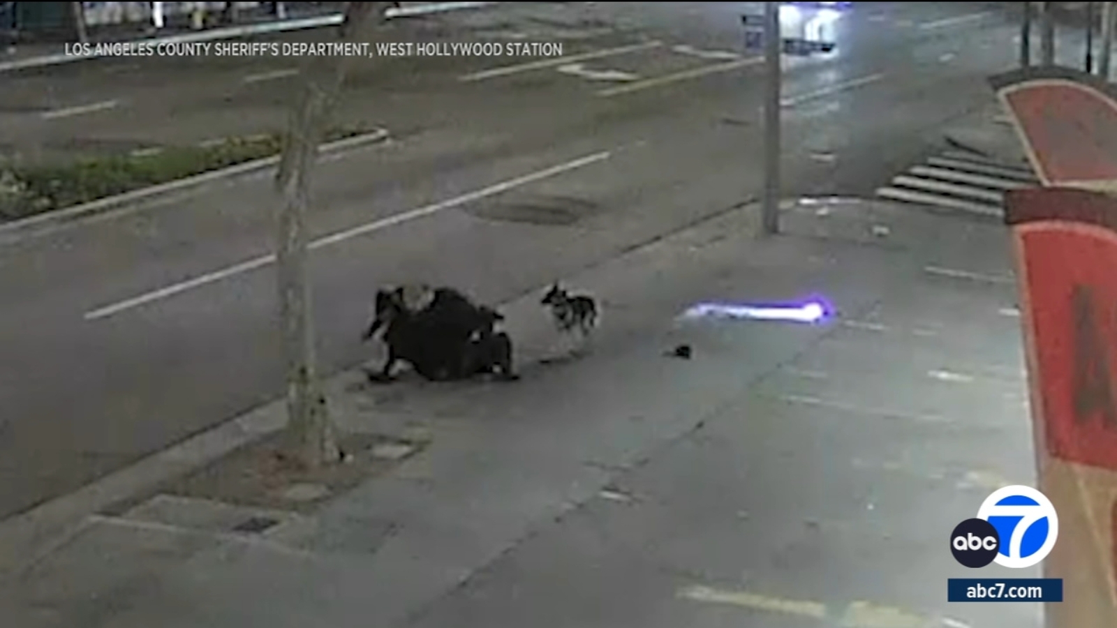 Violent assault captured on video in West Hollywood; 1 arrested, 2nd ...