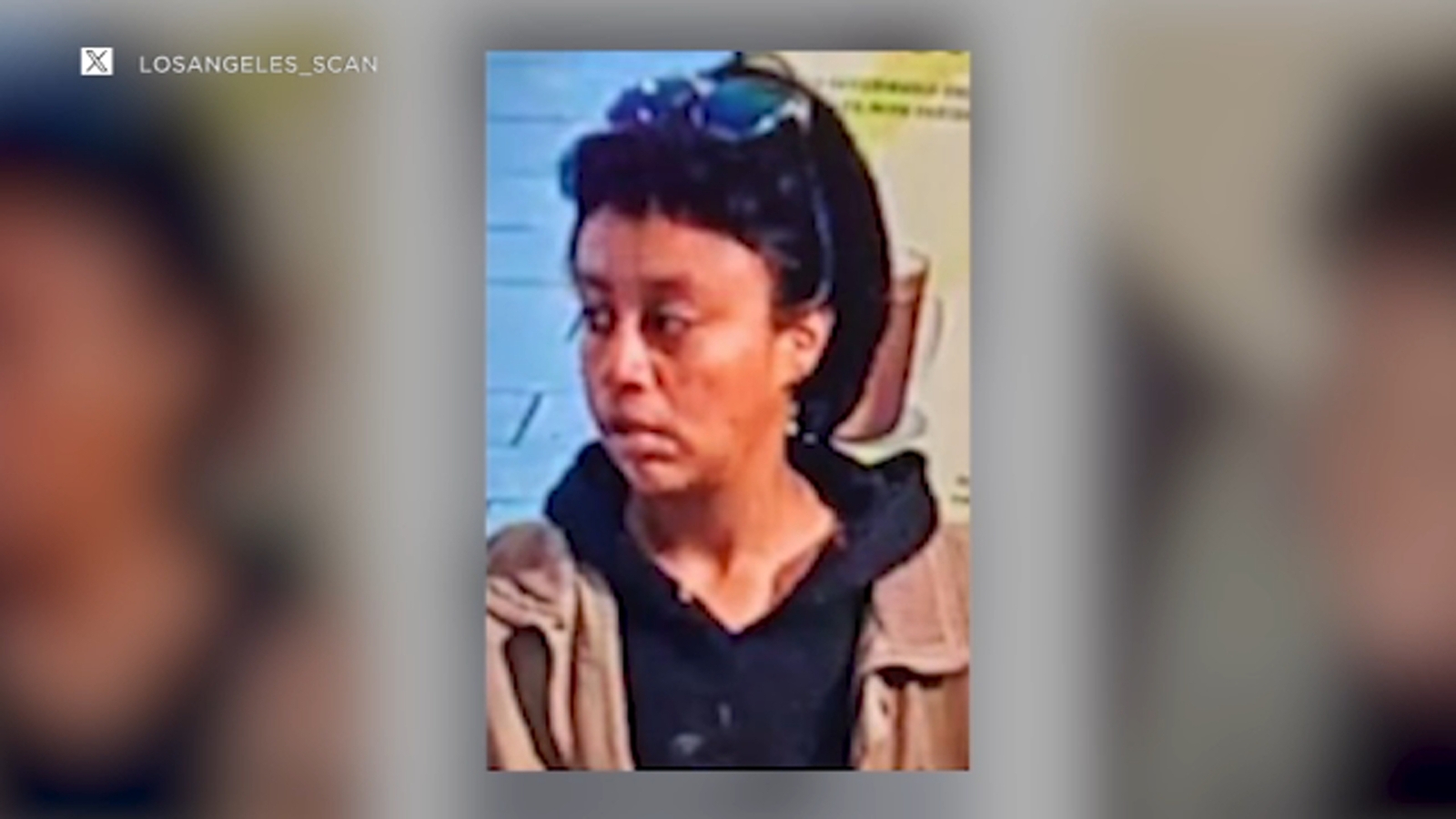 Police searching for woman accused of trying to kidnap 4-year-old boy ...