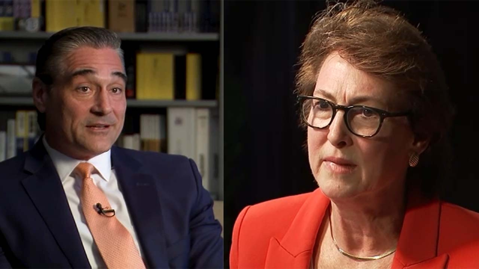 2024 Elections: Harris County District Attorney race features incumbent ...