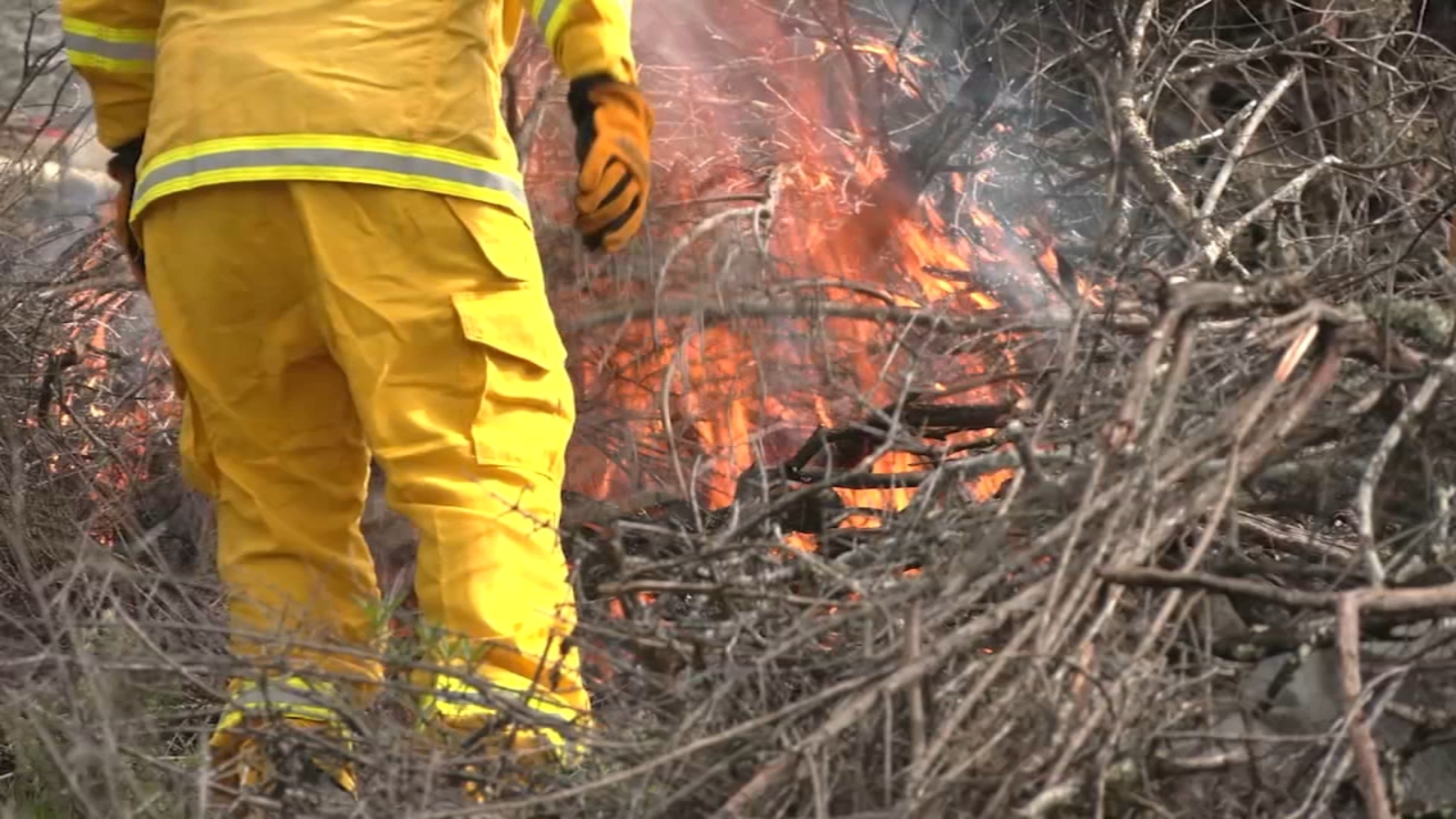 Stanford researchers studying wildfires through pile burns at Jasper ...