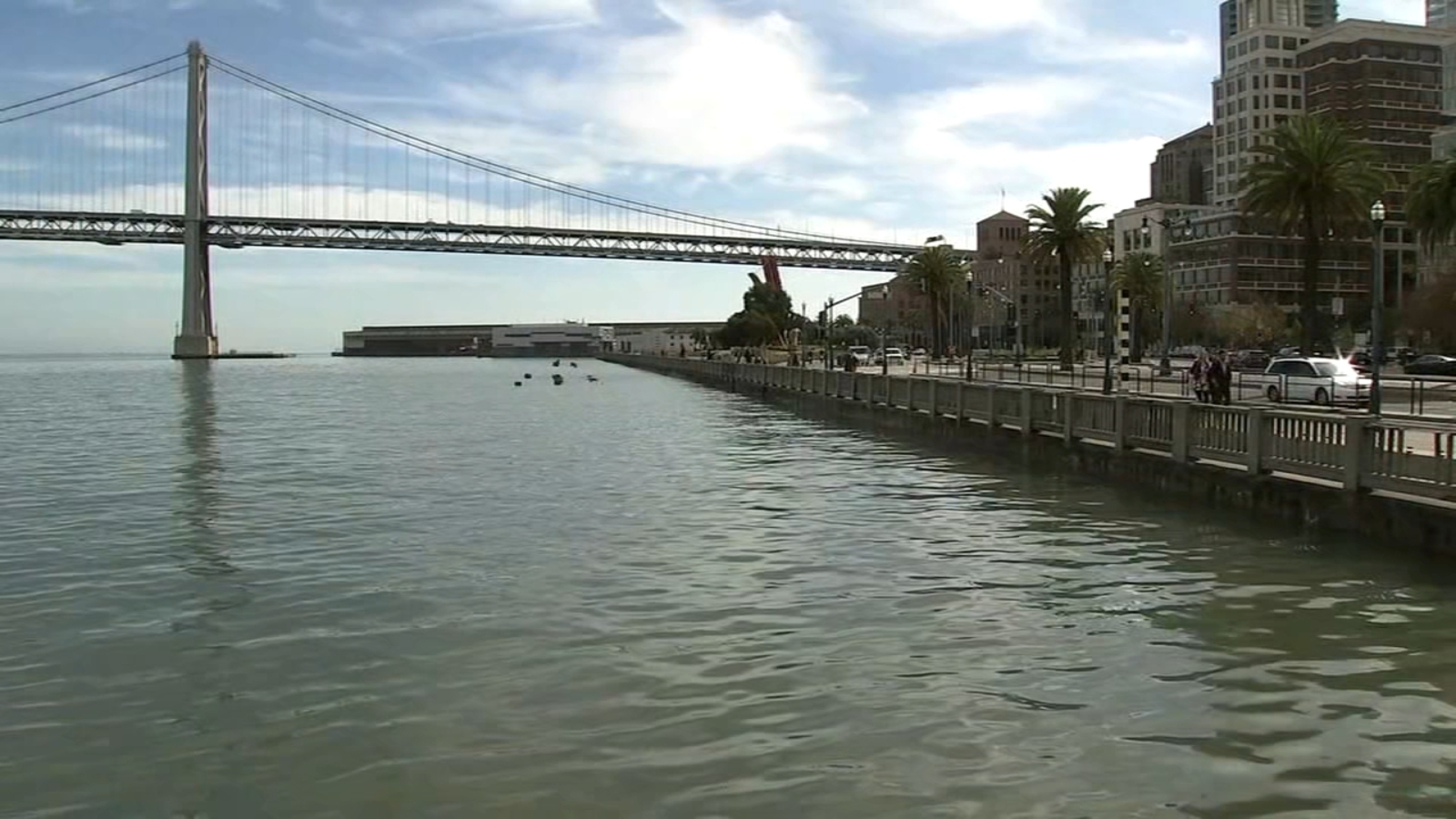 San Francisco and major coastal cities 'sinking' amid rising sea levels and flooding from ...