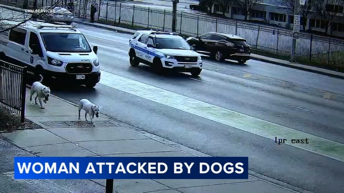 Dog attack - ABC7 Chicago