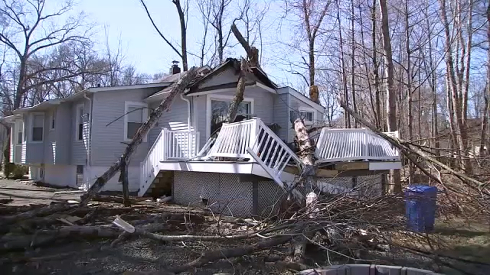 NJ weather: Strong winds knock down trees across Tri-State, cause ...