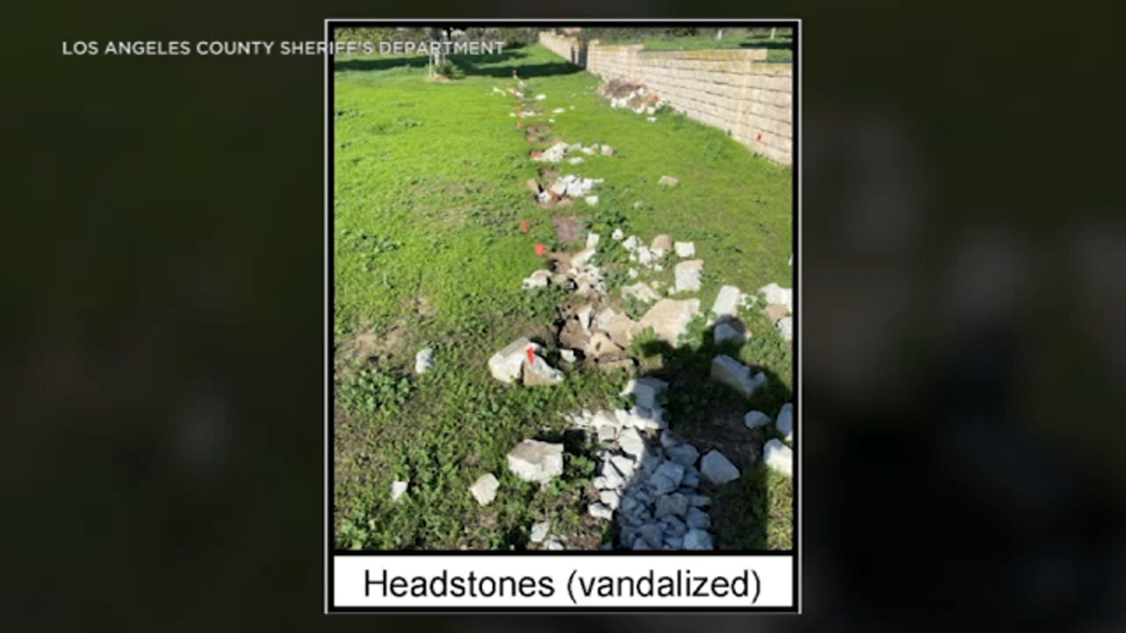 $20K reward offered for information leading to suspects who vandalized ...