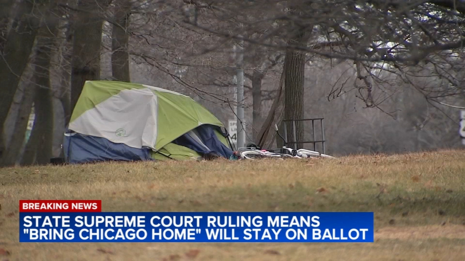 Illinois Supreme Court denies appeal of counting votes for ...