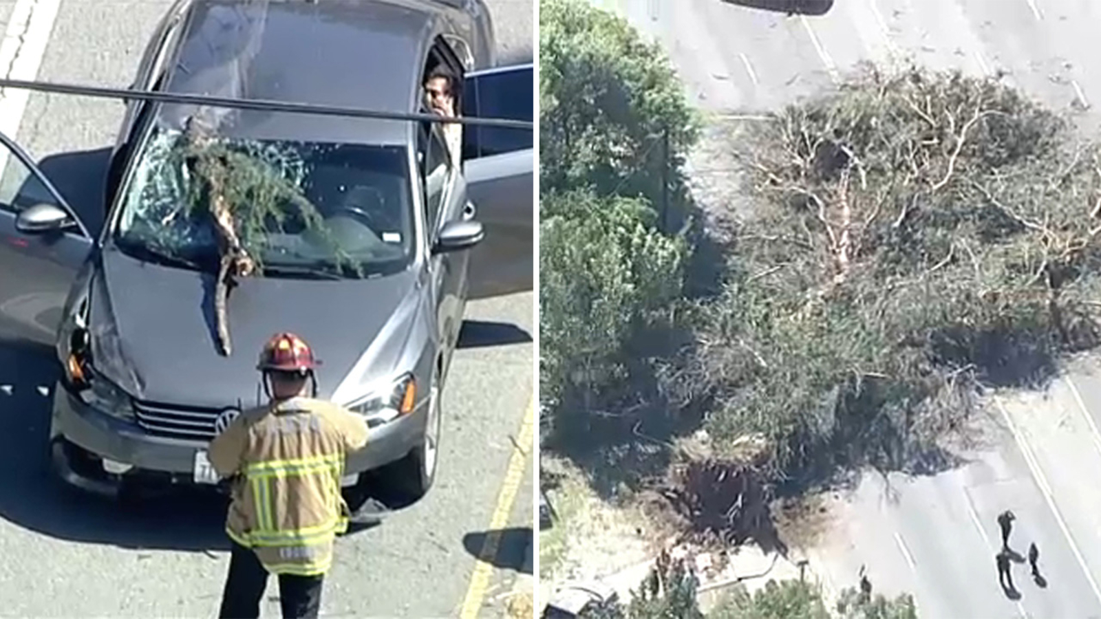 Powerful Santa Ana winds cause major damage in San Fernando Valley ...