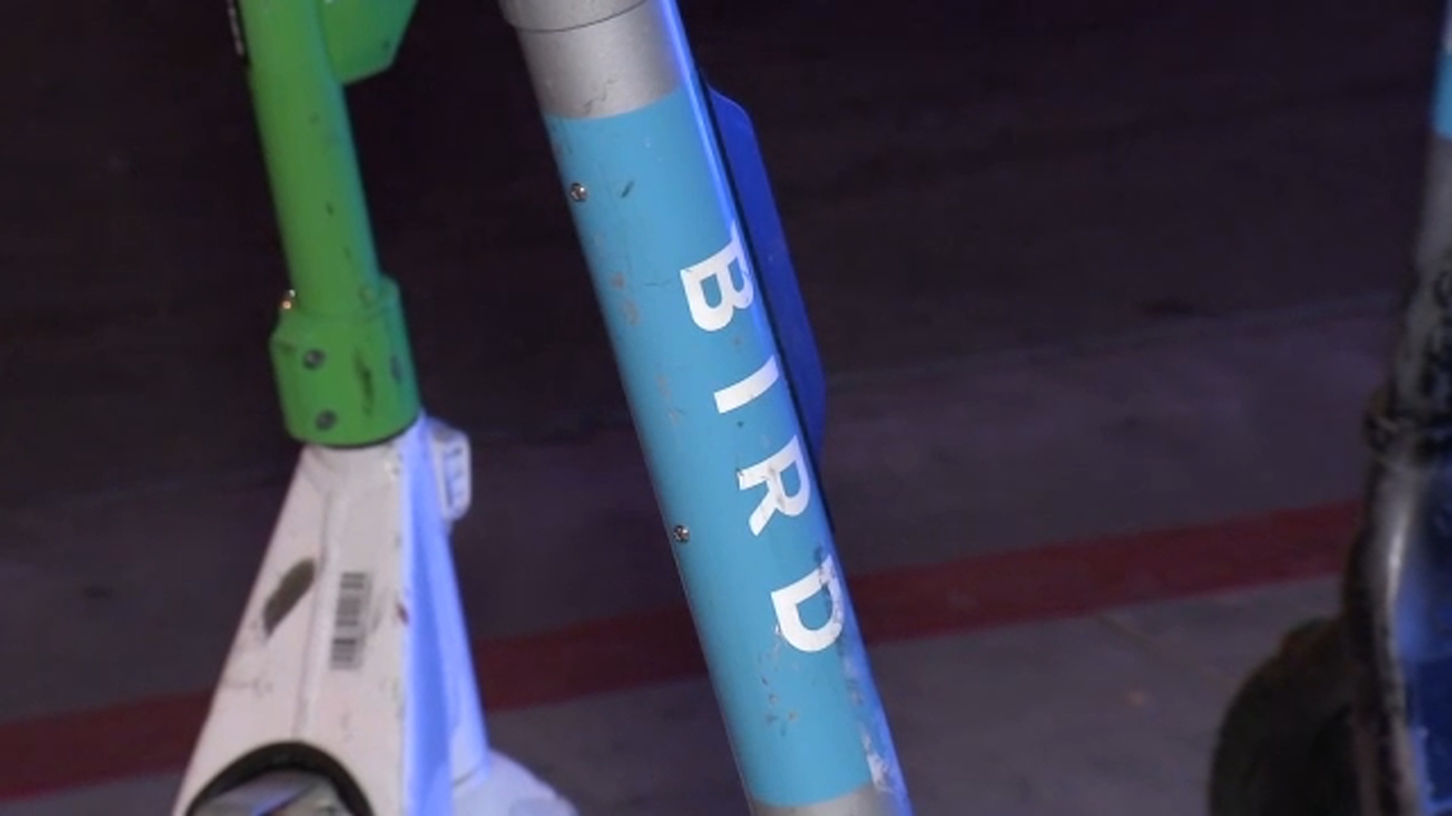 West Hollywood votes to cuts ties with Bird after bankruptcy, allows ...