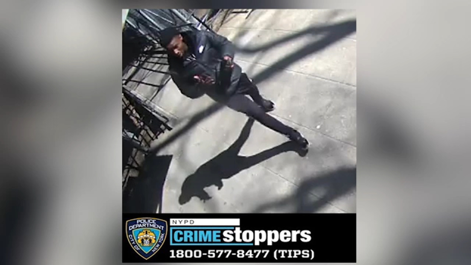 Bronx bodega serial robbery suspect sought as NYC owners group offers ...