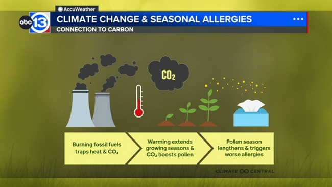 Climate change and allergy season: New study links Earth's warming ...