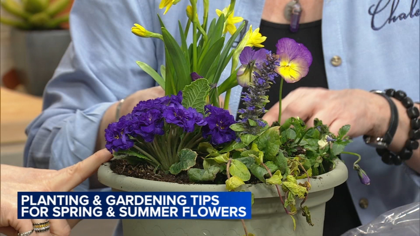 Spring is time to make plans for summer planting and gardening - ABC7 ...