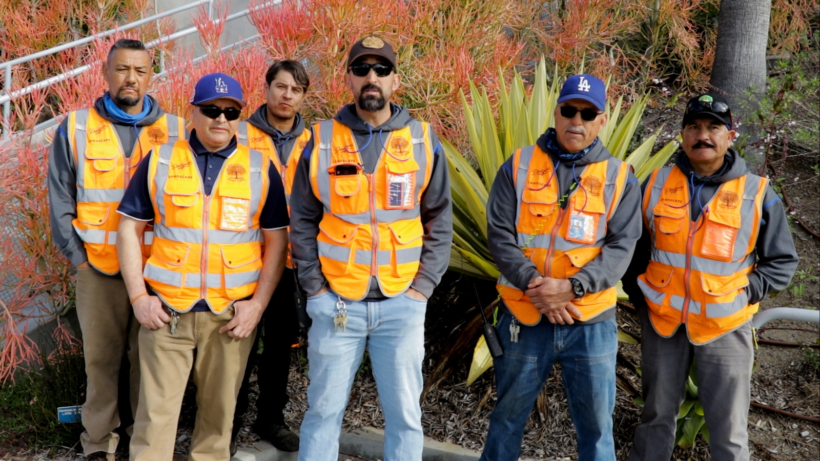 Dodger Stadium landscaping crew transforms grounds to a certified ...