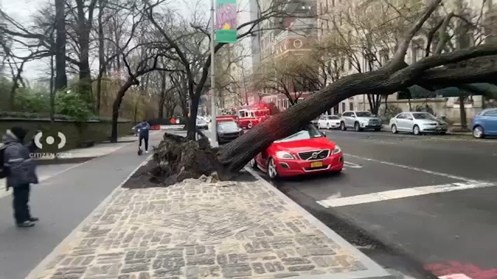 Massive tree falls on car, blocking part of Fifth Avenue on Manhattan's ...