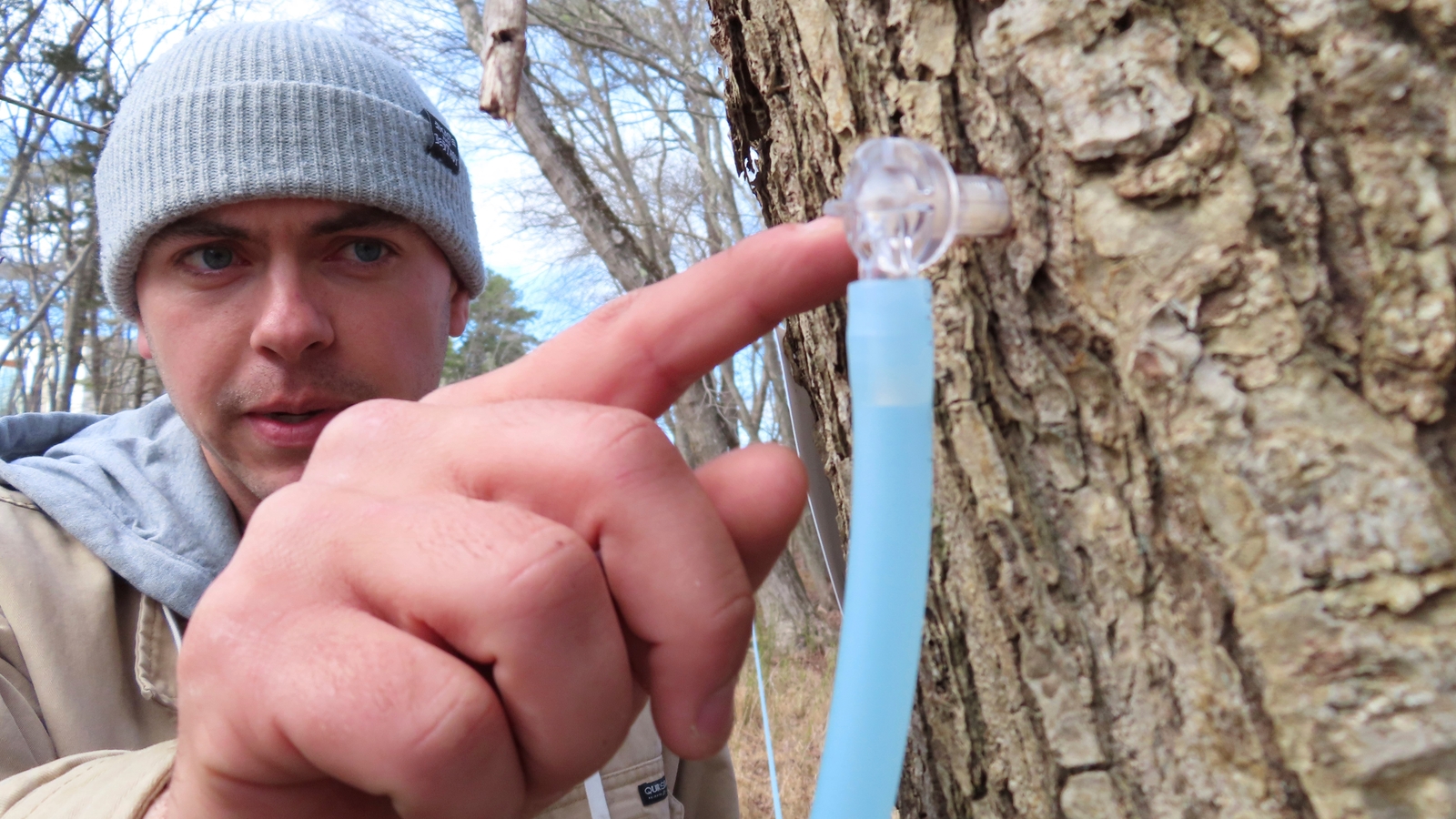 Maple syrup from New Jersey: Stockton University using $1M federal ...