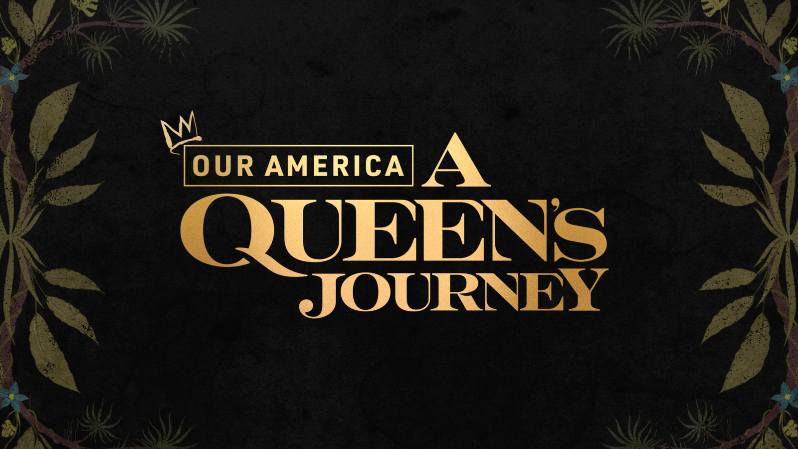 Celebrate National Geographic's historic series 'Queens' with 'Our ...