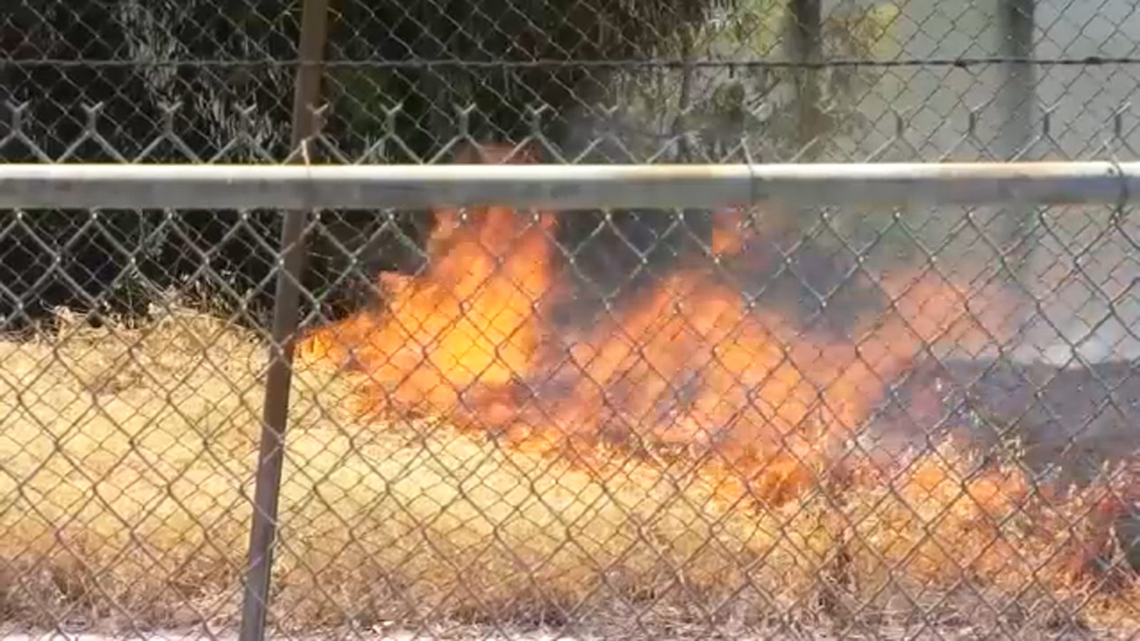 Vegetation fires starting to decrease across Fresno - ABC30 Fresno