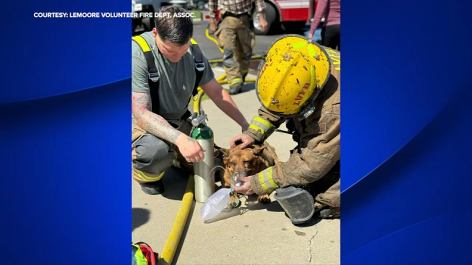 Firefighters rescue dog from burning home in Lemoore - ABC30 Fresno