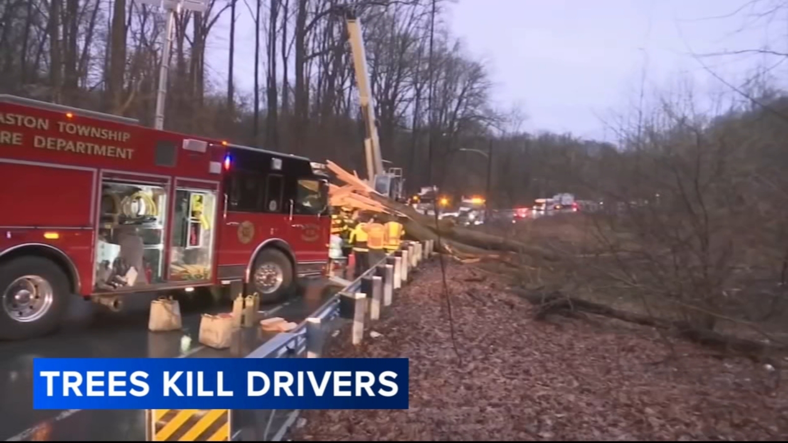 Flooding concerns after severe weather in Philadelphia region; 2 killed by falling trees in ...