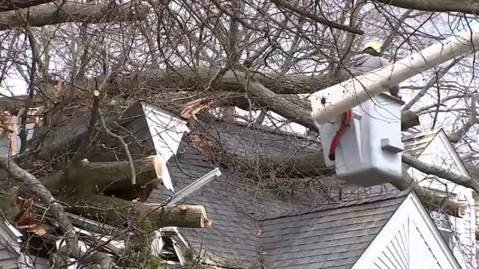 New Jersey storm damage: residents clean up downed trees, facade ...