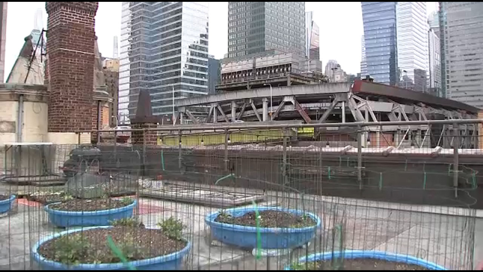 Hell's Kitchen Farm Project: Metro Baptist Church's rooftop garden ...