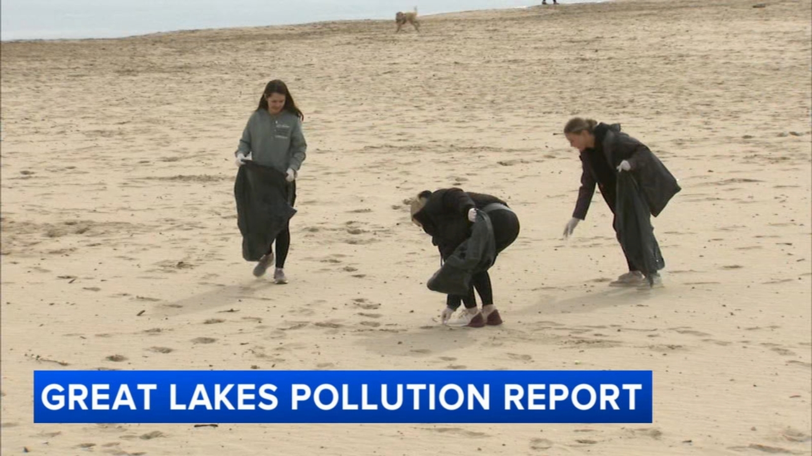 Alliance for the Great Lakes pollution report finds vast majority of ...