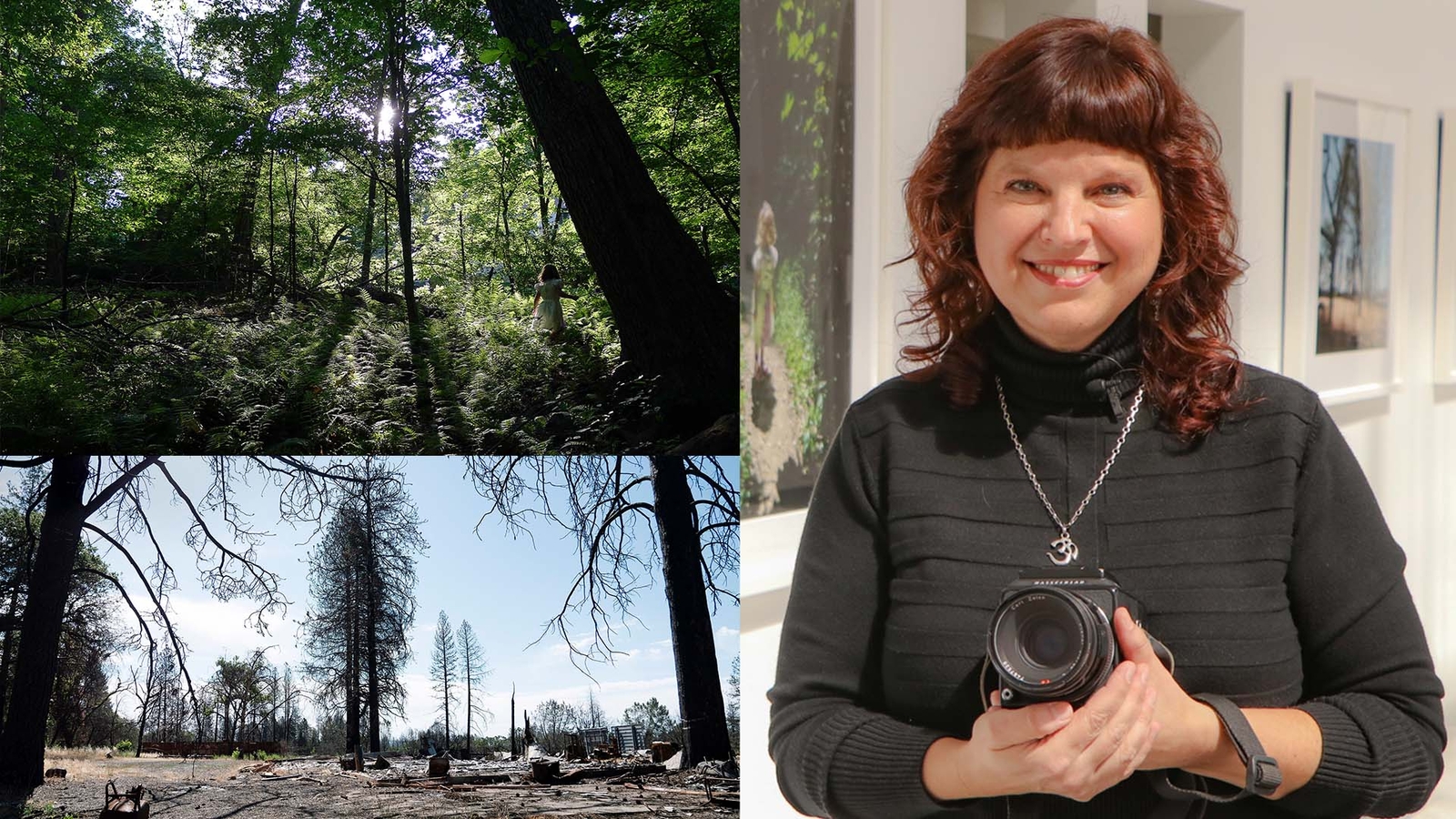 Pa. world-traveling photographer puts spotlight on deforestation - 6abc ...