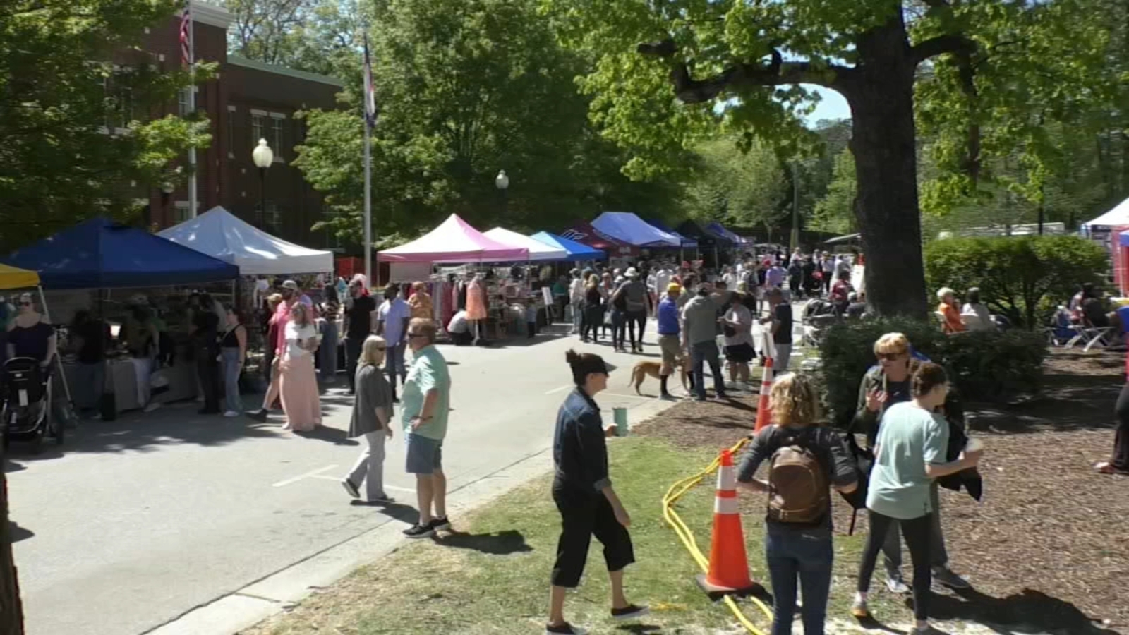 Peak City Pig Fest returns to Apex - ABC11 Raleigh-Durham