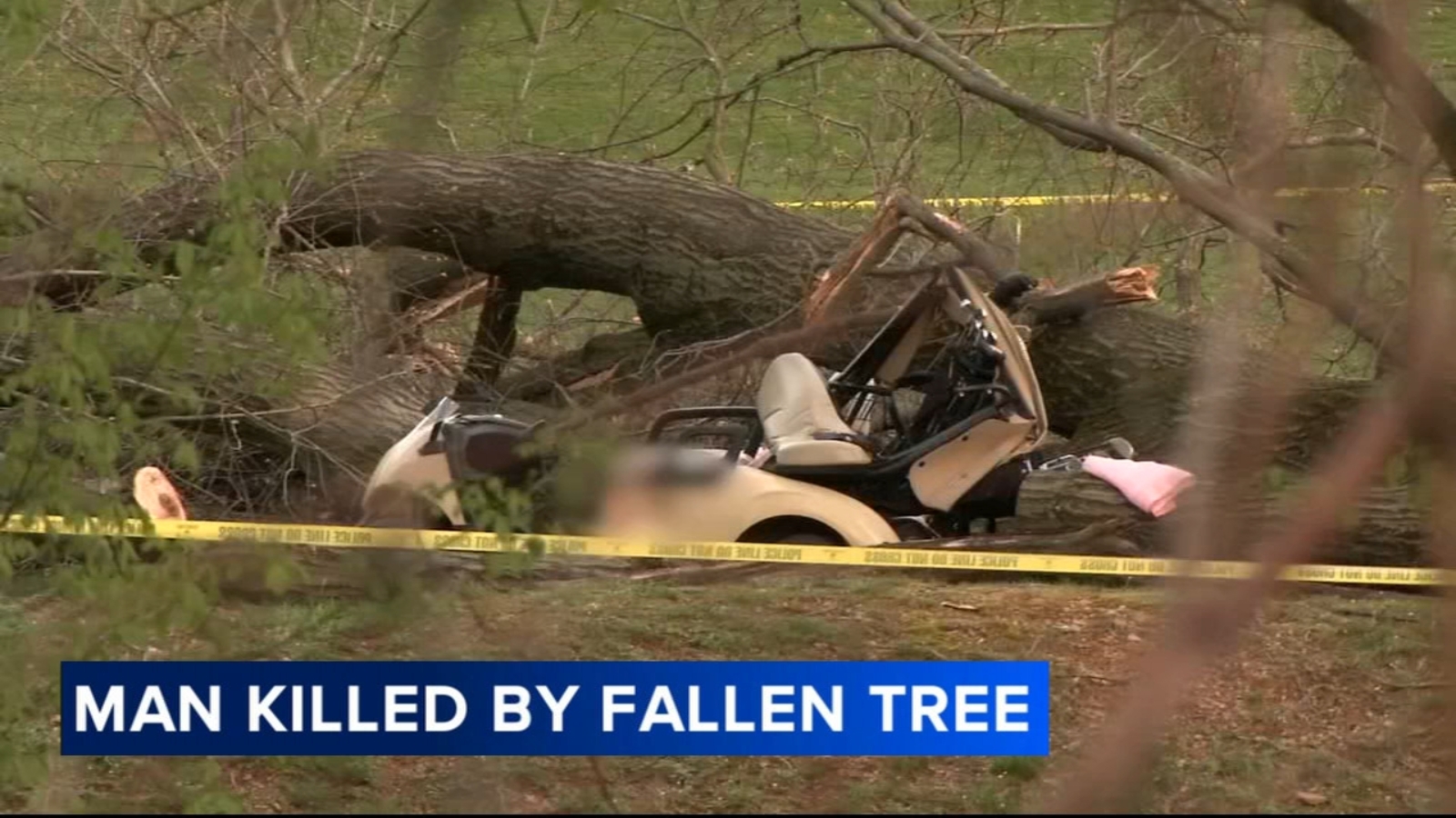J.C. Melrose Country Club: 1 dead after fallen tree strikes golf cart ...