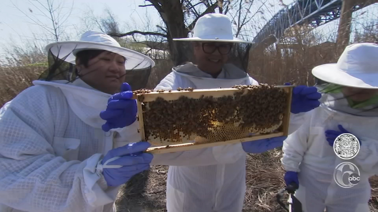 Half Mad Honey offers free mindful bee hive tours to help with mental ...