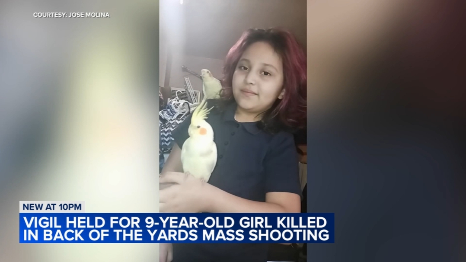 Mass shooting Chicago: Vigil held after Back of the Yards shooting ...