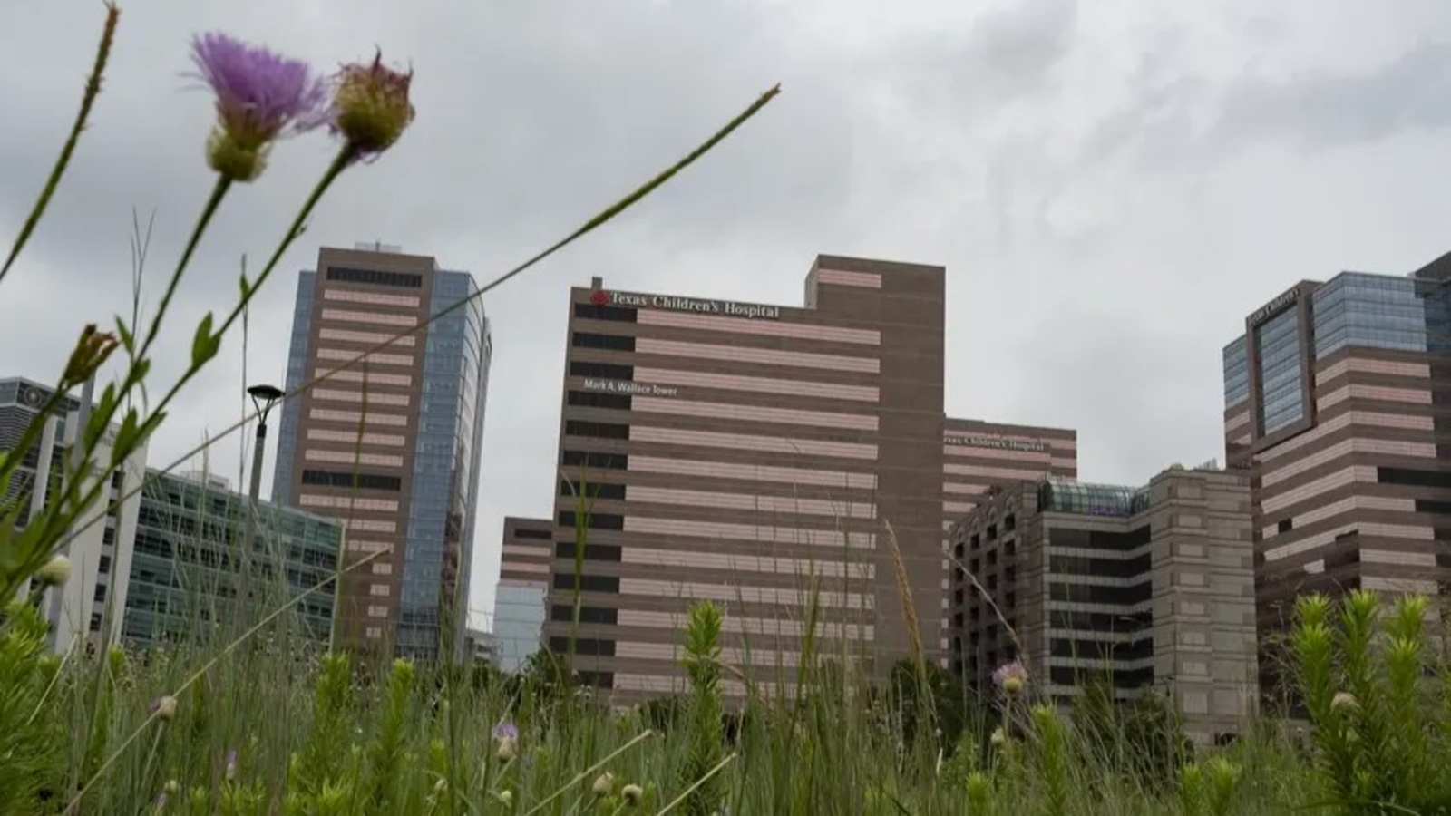 Proposed changes to state Medicaid plans could shake up health coverage ...