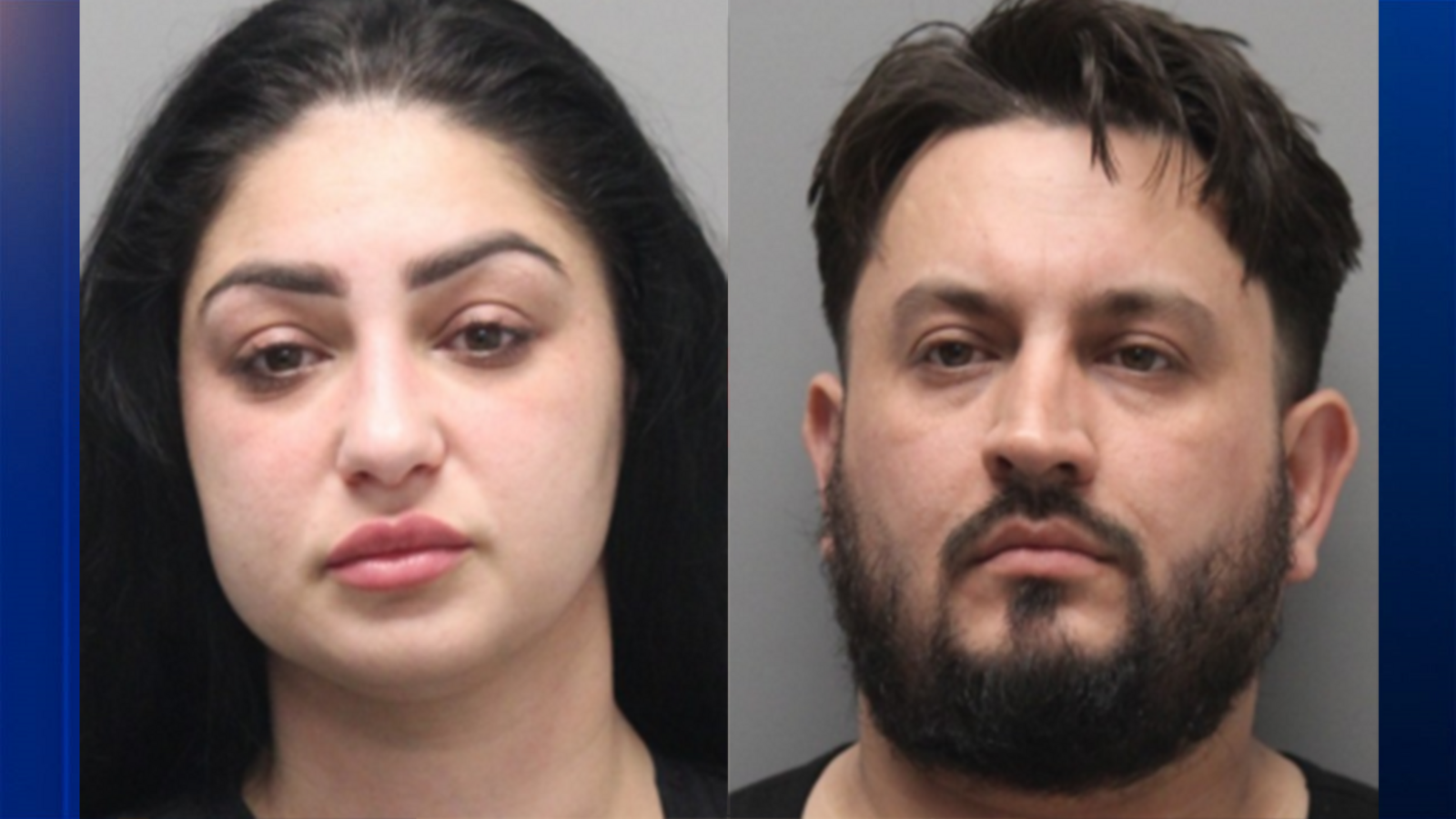 Fabian Jaworski, Sandra Zelinska from Chicago arrested for felony ...