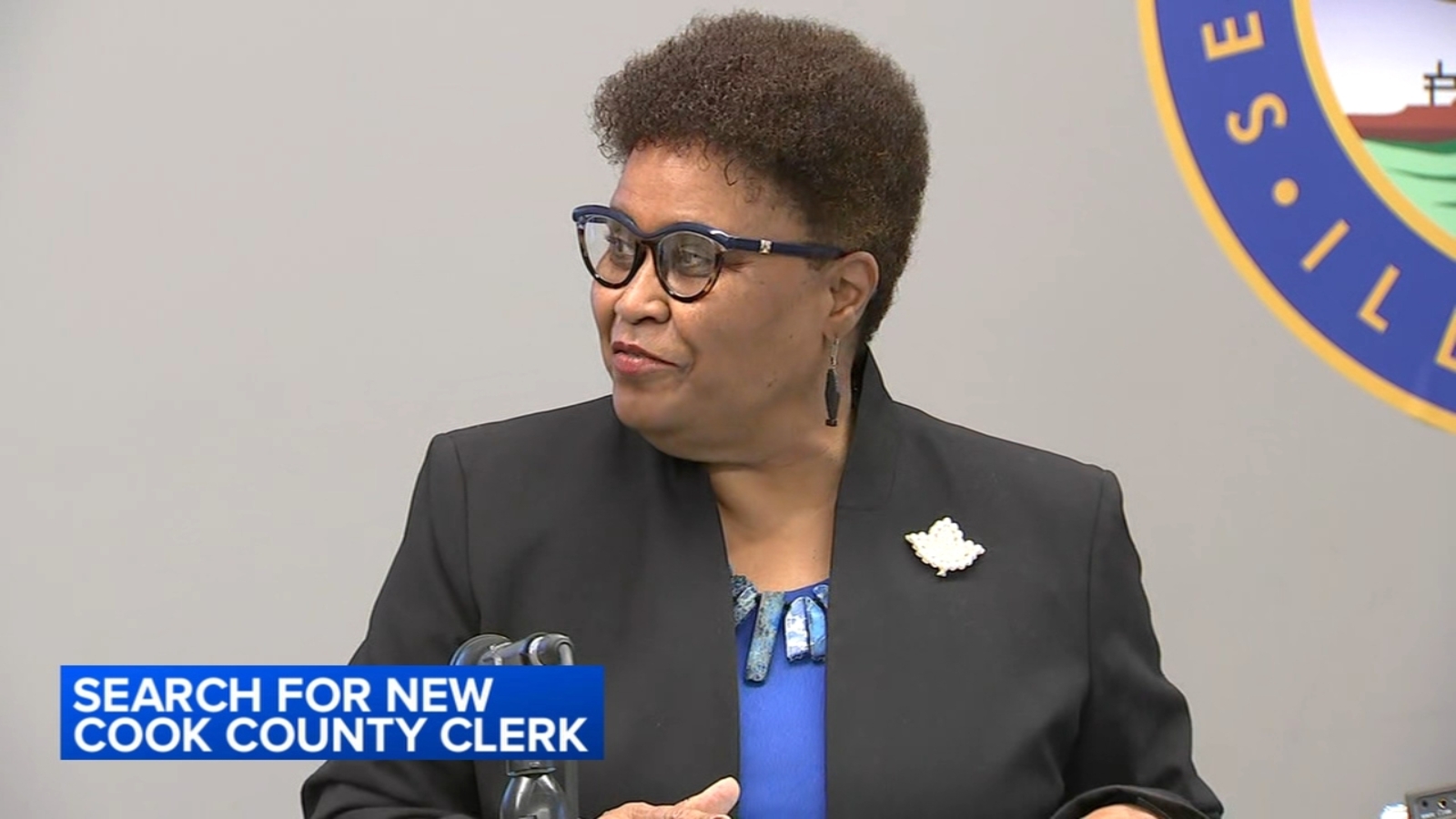 Cook County Clerk application: Cook Co. Democratic Party accepting ...