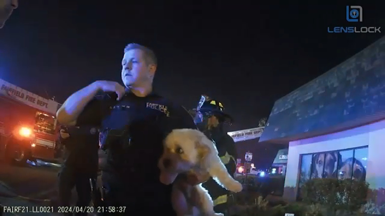 K9 Resorts in Fairfield, NJ evacuated; 46 dogs saved from smoke conditions - ABC7 New York